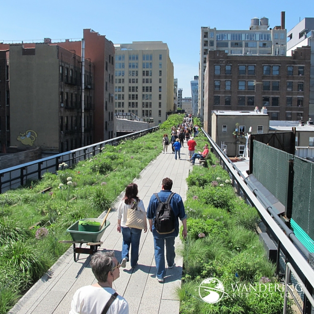 The High Line is Urban Renewal at its Very Best